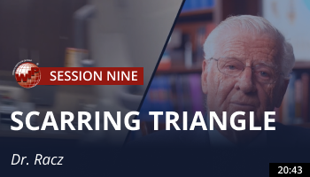 Gabor Racz - Scarring Triangle - PainCast