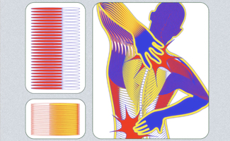 Why ‘Unbalanced’ Muscles Can Cause You Pain - PainCast